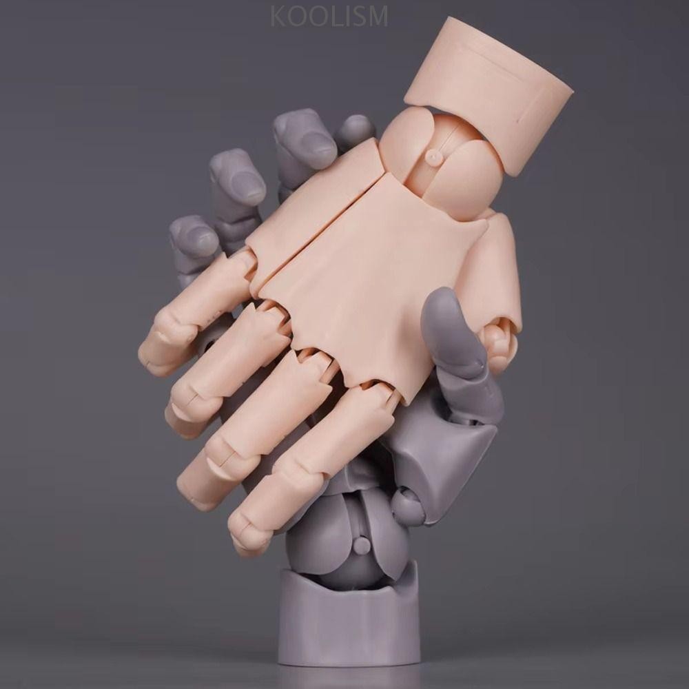 KOOLISM Hand Joint Movable Model, Biomimetic Right Hand Simulation Hand ...