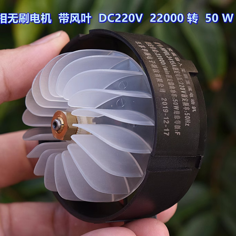 Ball Bearing Three-Phase Brushless Motor with Fan Blade DC220V 22000 ...