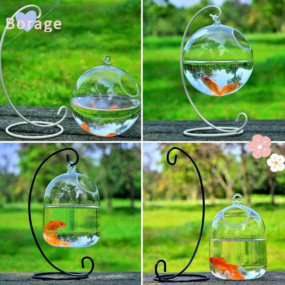 BORRAONE Hanging Glass Fish Bowl Transparent Round/Rectangle Aquarium ...