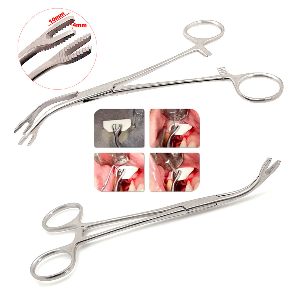 Dental Bone Graft Forceps Bone Fragment Gripper Surgical Pliers for ...