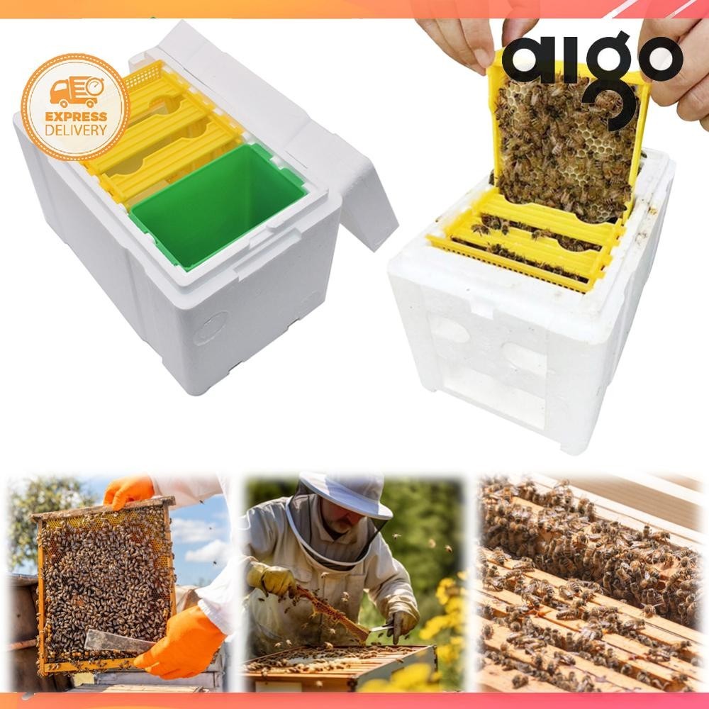 Foam Bee Box Versatile Bee Mating Box - Bee Pollination Box for Bee ...