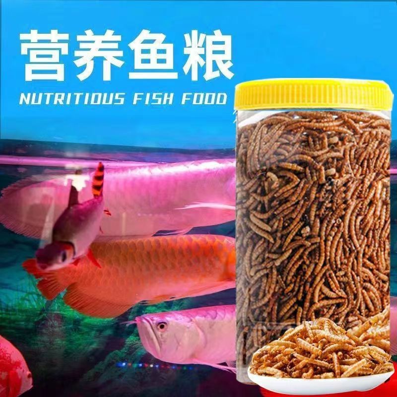 Arowana special feed gold arowana silver arowana feed floati arowana ...