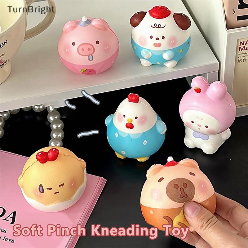 [TurnBright] Cute Capybara Squeeze Toy Cartoon Rabbit Pig Fidget Toy ...