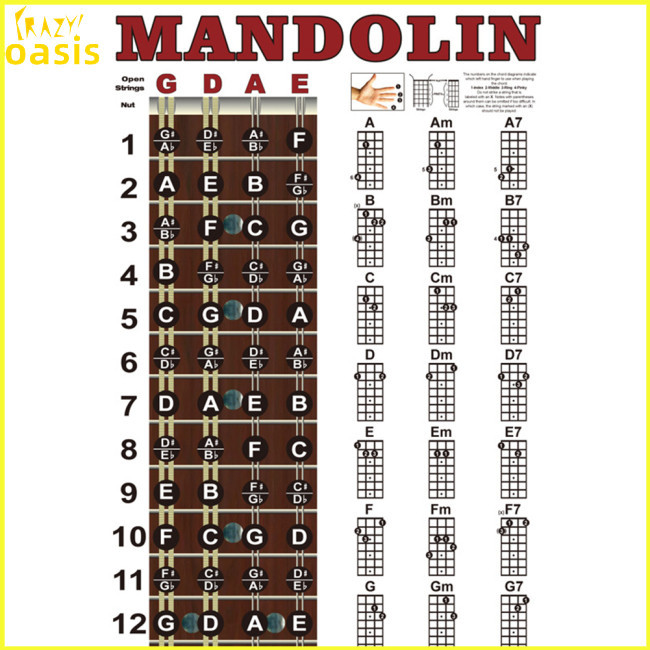 OAS Mandolin Fretboard Notes Chart Finger Placement Chords Theory ...