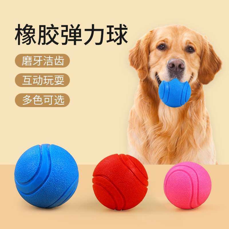 Pet Toy Solid Rubber Bouncy Ball Dog Training Ball Pet Puppy Chewing ...