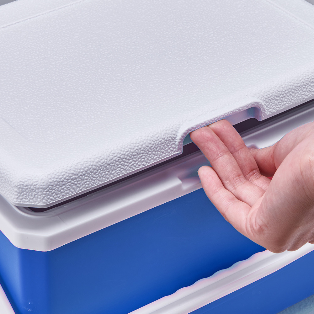 3L Insulated Portable Cooler with Handle Mini Freezer Fridge for Beach ...