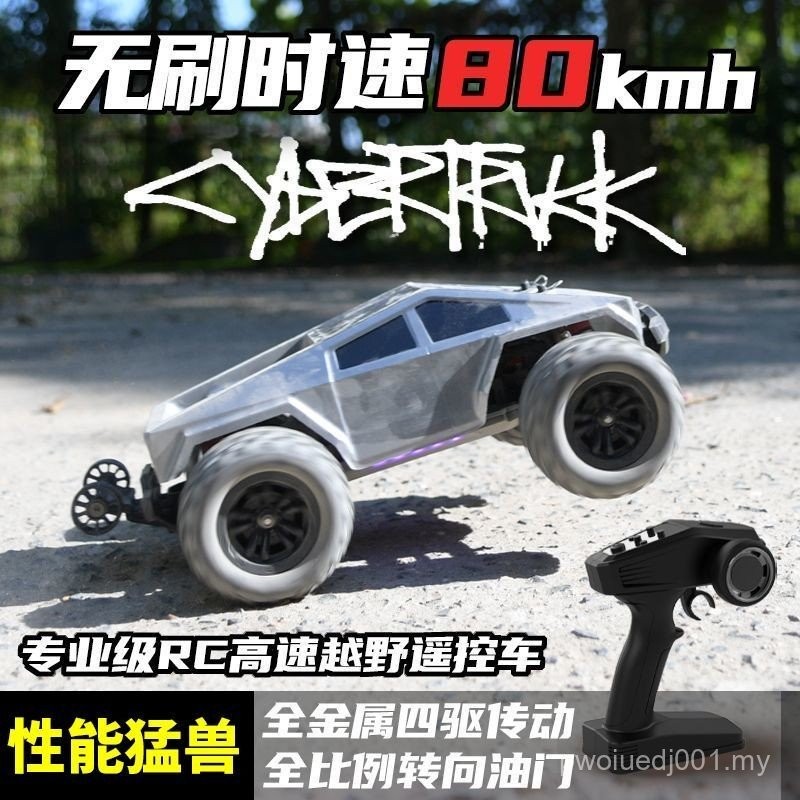 Pilot Professional RC Brushless High-Speed Remote Control Car Racing ...