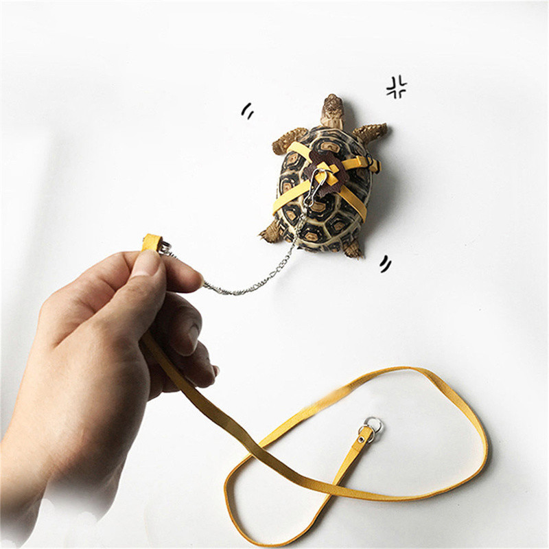 Pet Turtle Traction Rope Out Traction Belt Training Pet Outdoor Leash ...