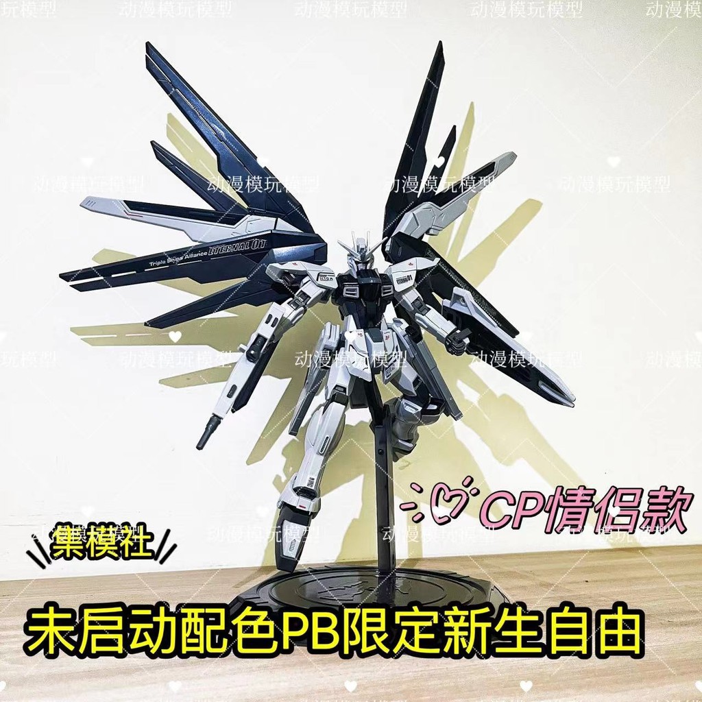 Gundam Assembled Model Newborn Freedom HG 1/144 Unstarted Model Color ...