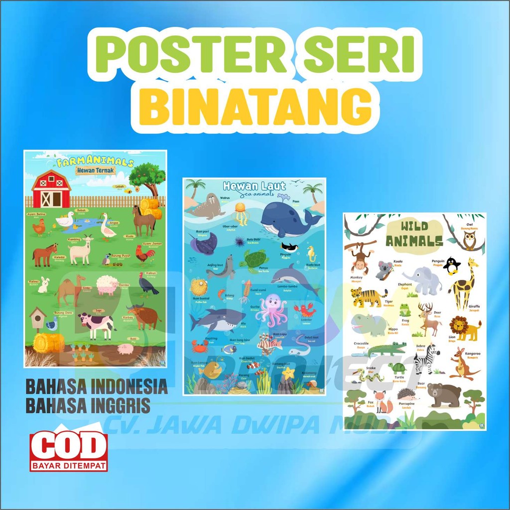 Jdm Project - Children's Educational Animal Posters Children's ...