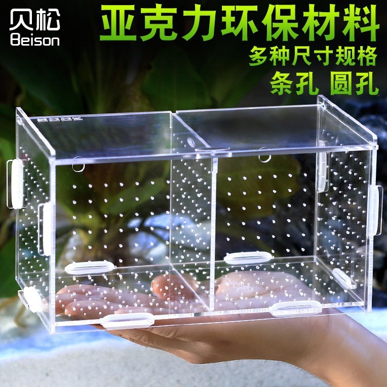 [Spots Ready Stock] Aquarium acrylic quarantine box free hanger ...