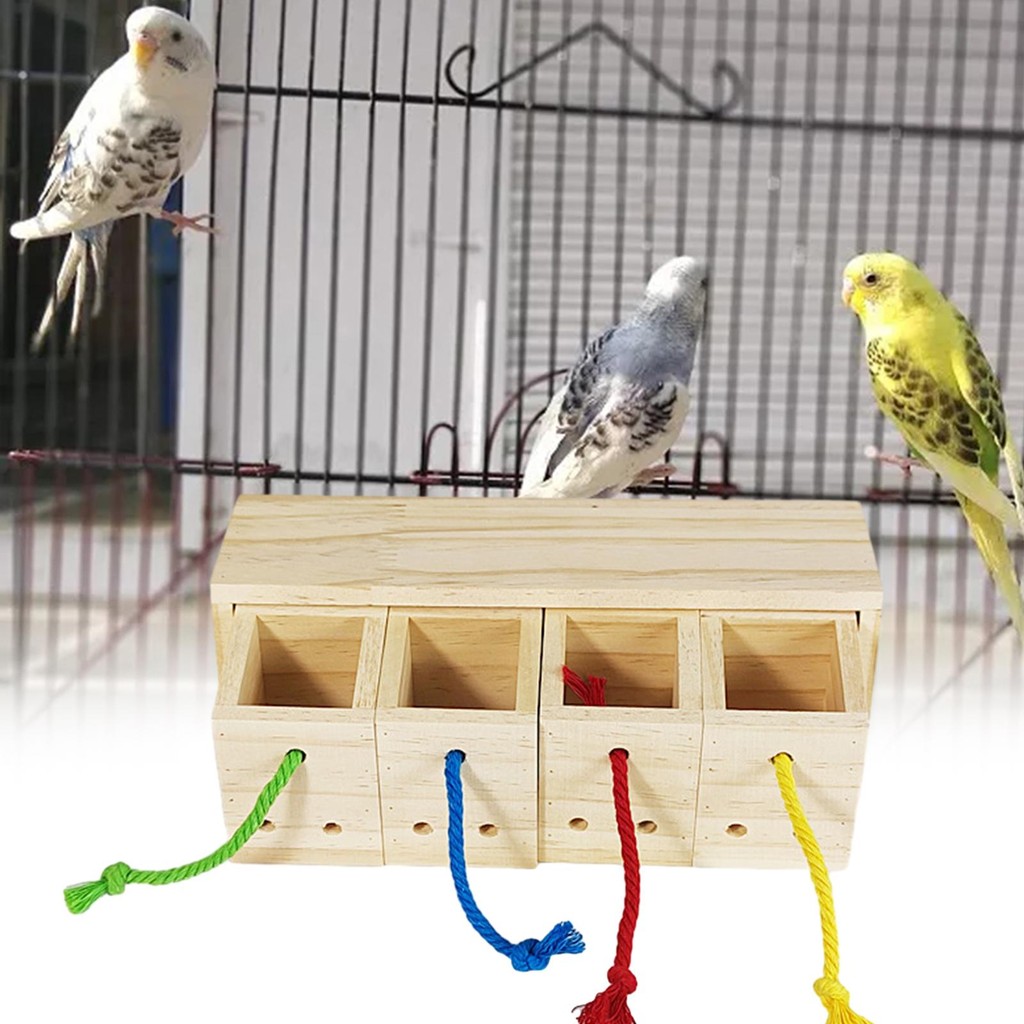 [uguuiya] Foraging Bird Toy Intelligence Bowl Pet Bird Parrot Toy ...