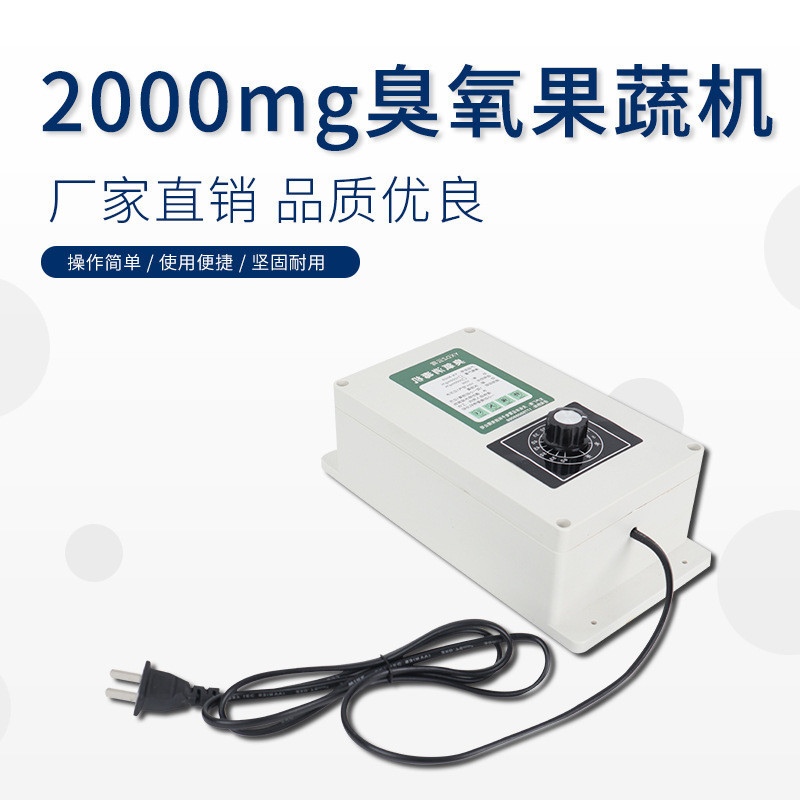 Ozone Generator 2000mg for Household Water Treatment -Fruit, Vegetable ...