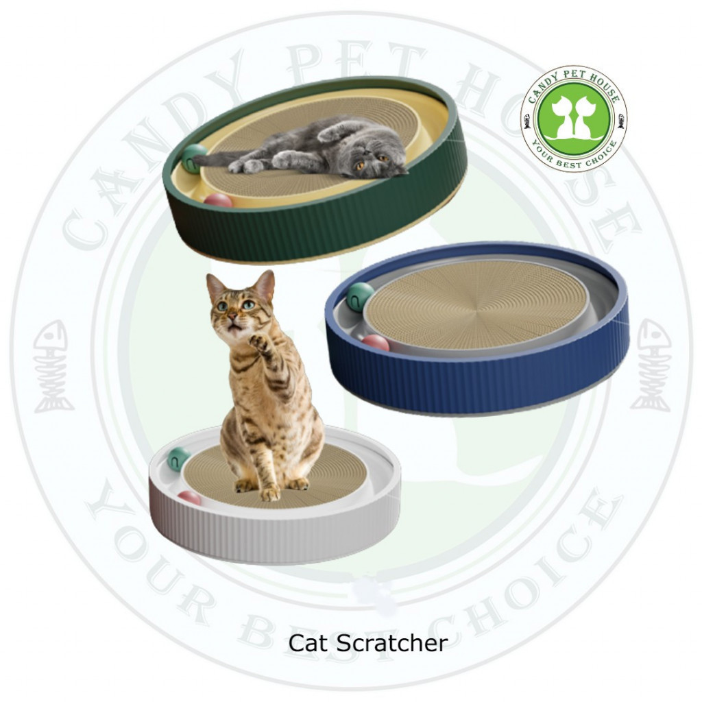 Round Cat Scratching Board with Ball/ Interactive Training Board with ...