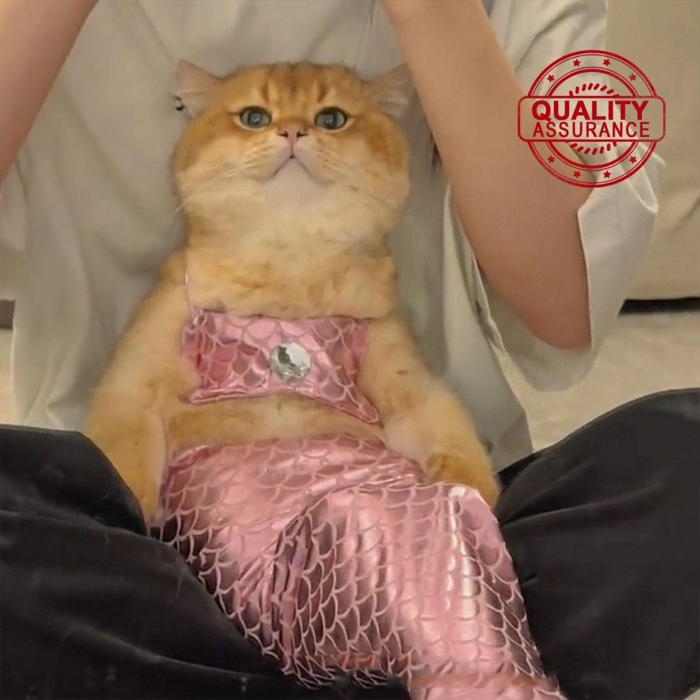 Pet Aqua Mermaid Set Dog Costume Outfit Cute Kitten Costume Dress ...