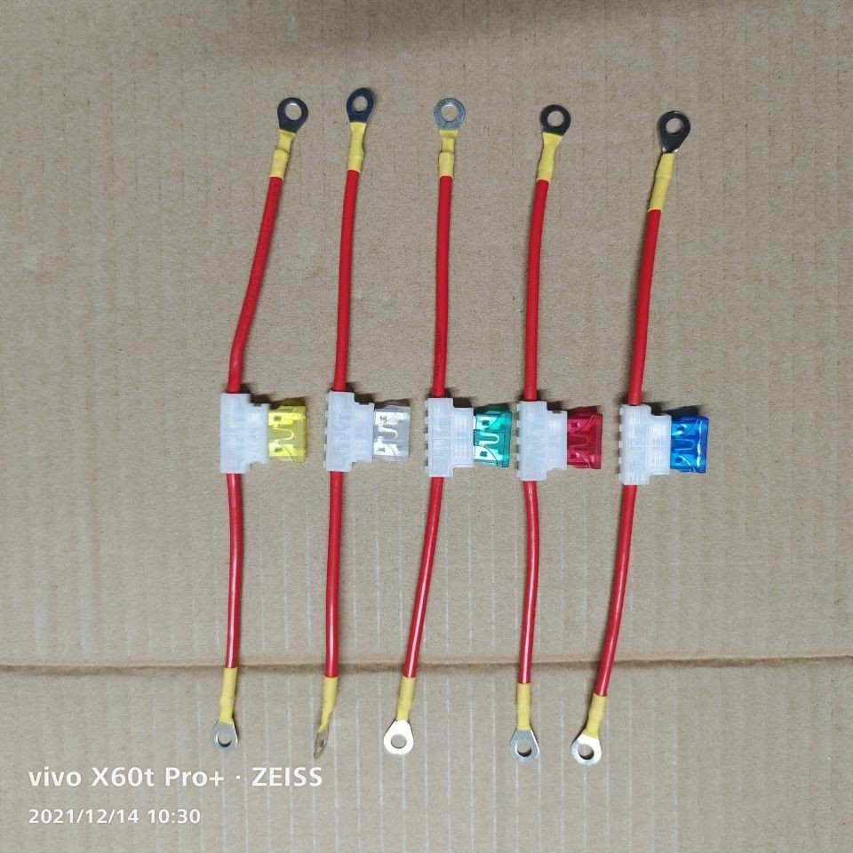 Electric Vehicle Fuse 30A Fuse Socket Base Three-Wheel Battery Car Fuse ...