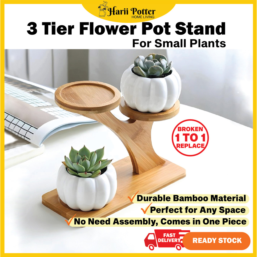 Bamboo Rack For Succulent Small Cactus Pot Rack Stand Bamboo Shelf ...