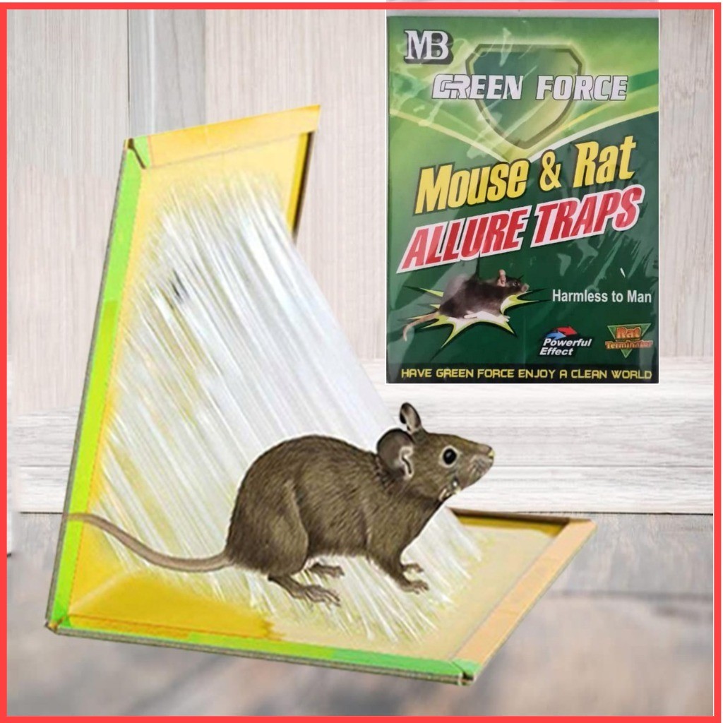 Mouse Trap Snake Bugs Rat Mice Catcher Board Foldable Pest Control Pad ...