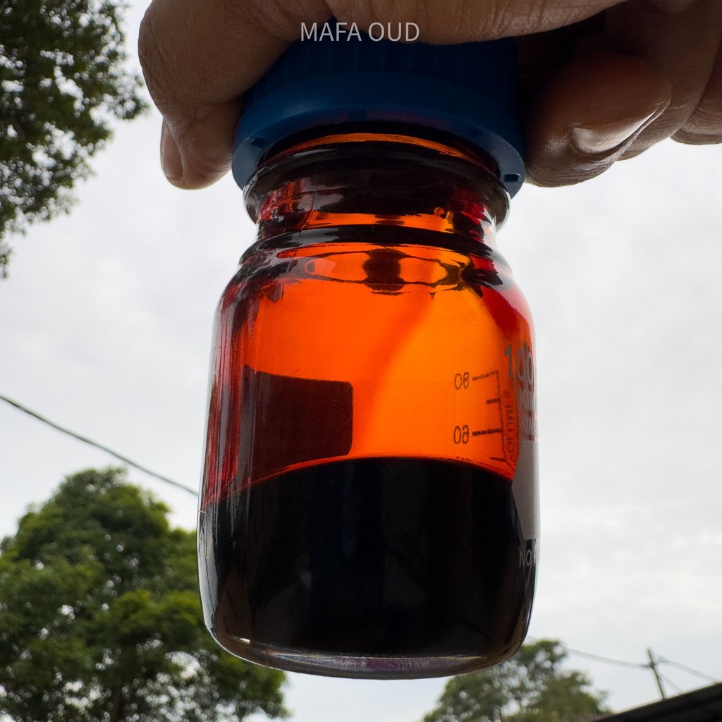 Wild Oud Terengganu Kayu Lama 2007 Pure Oil Malaccensis and Hirta ...