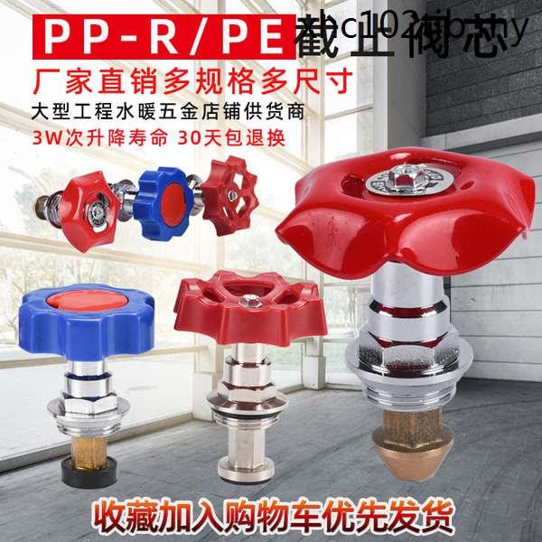 20ppr Check Valve Valve Core 25 Water Pipe Switch pe Lift Type Gate Valve Accessories 4 6 Points ...
