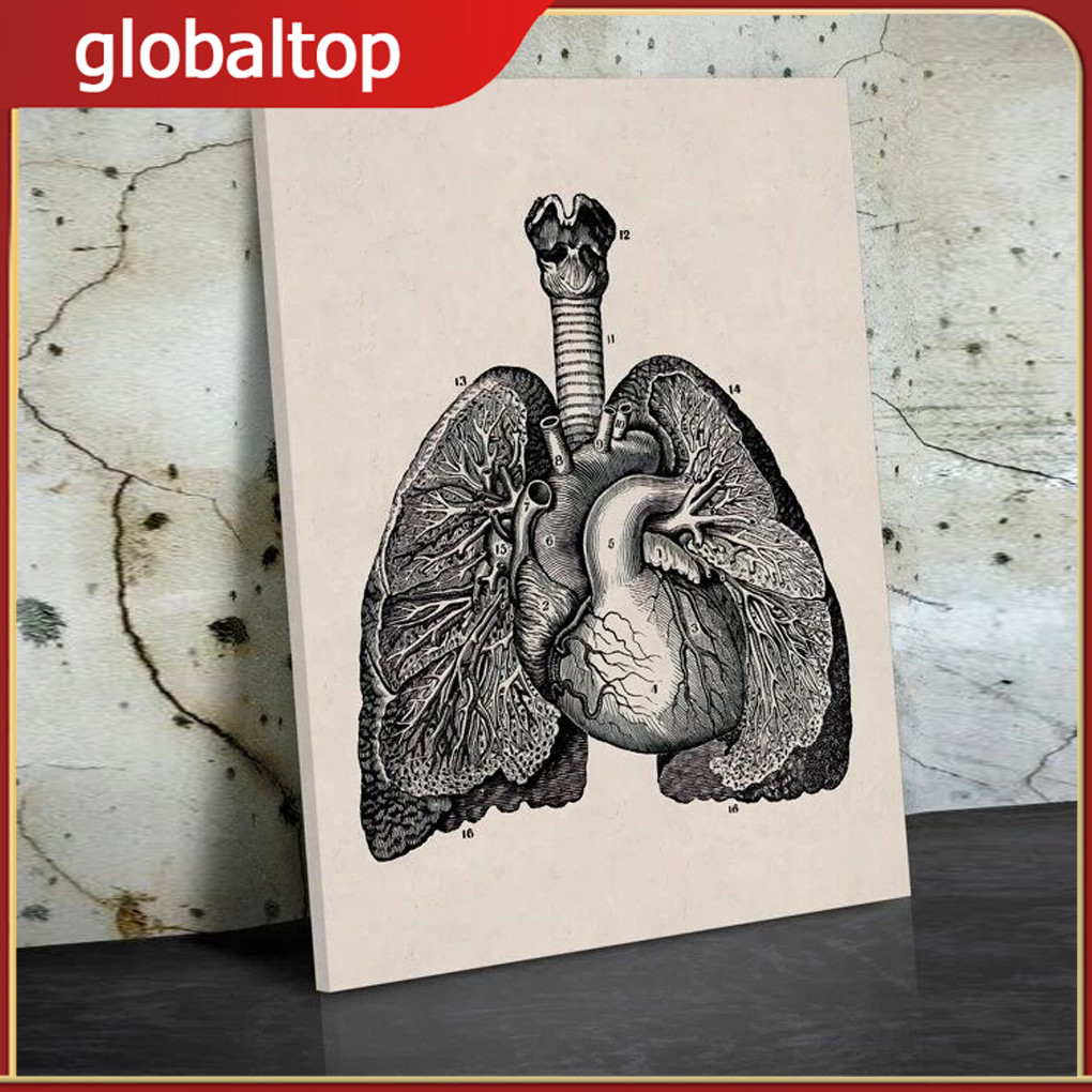 Lung Structure Art Painting Waterproof Decorative Poster Indoor ...