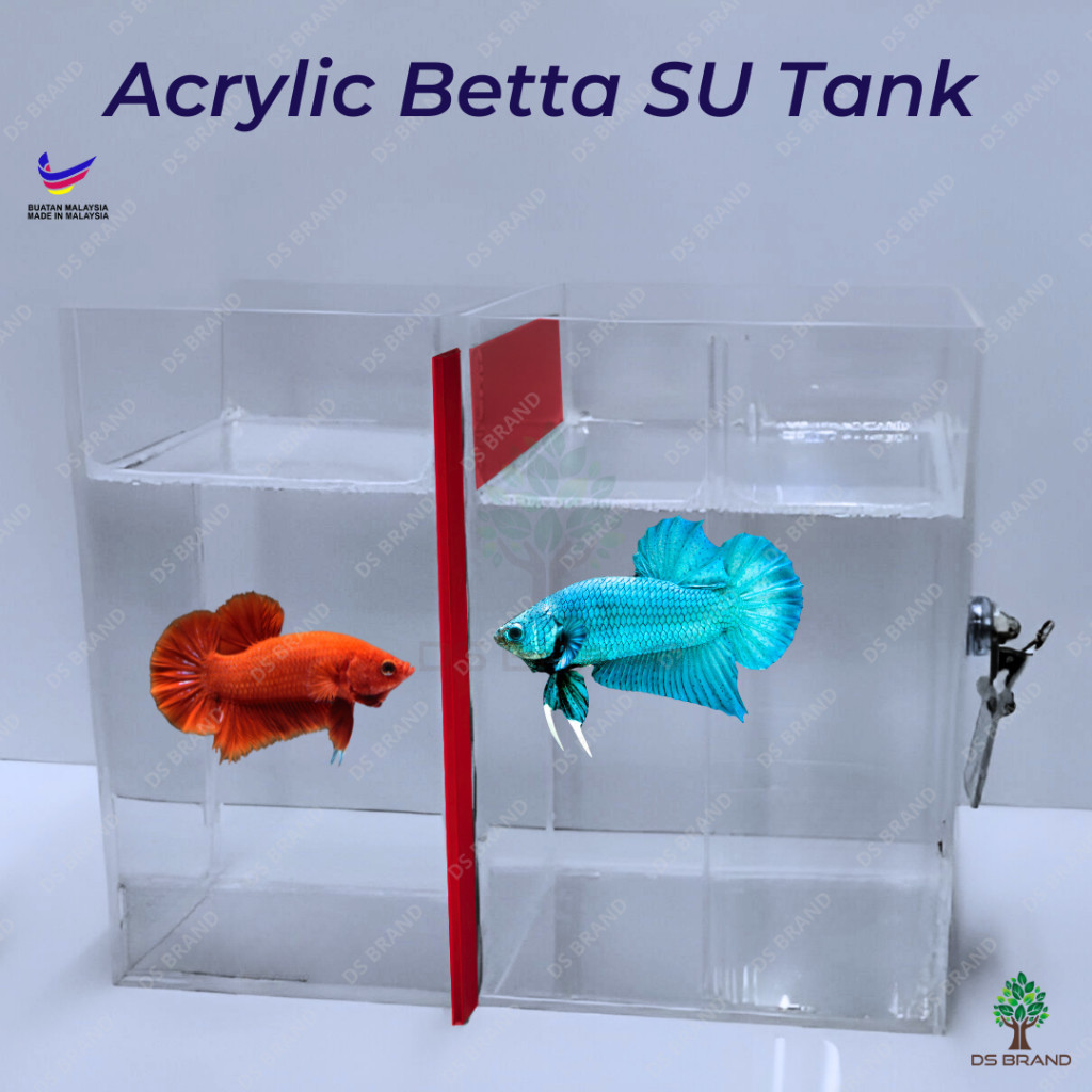 SU Tank Betta Fish Divider / Acrylic Betta Tank / Training Mirror ...