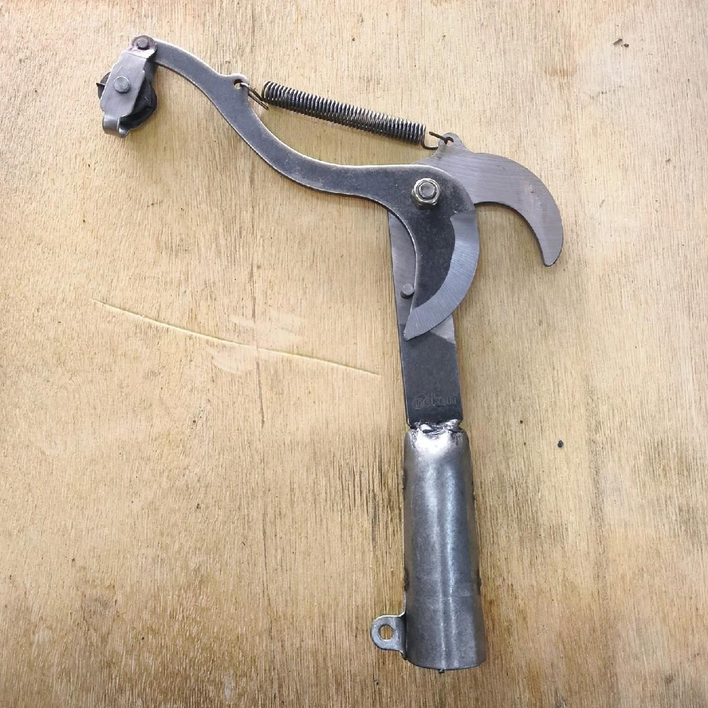 Gunting Rambutan / Gunting Dahan & Buah / Pruning Pokok | Shopee Malaysia