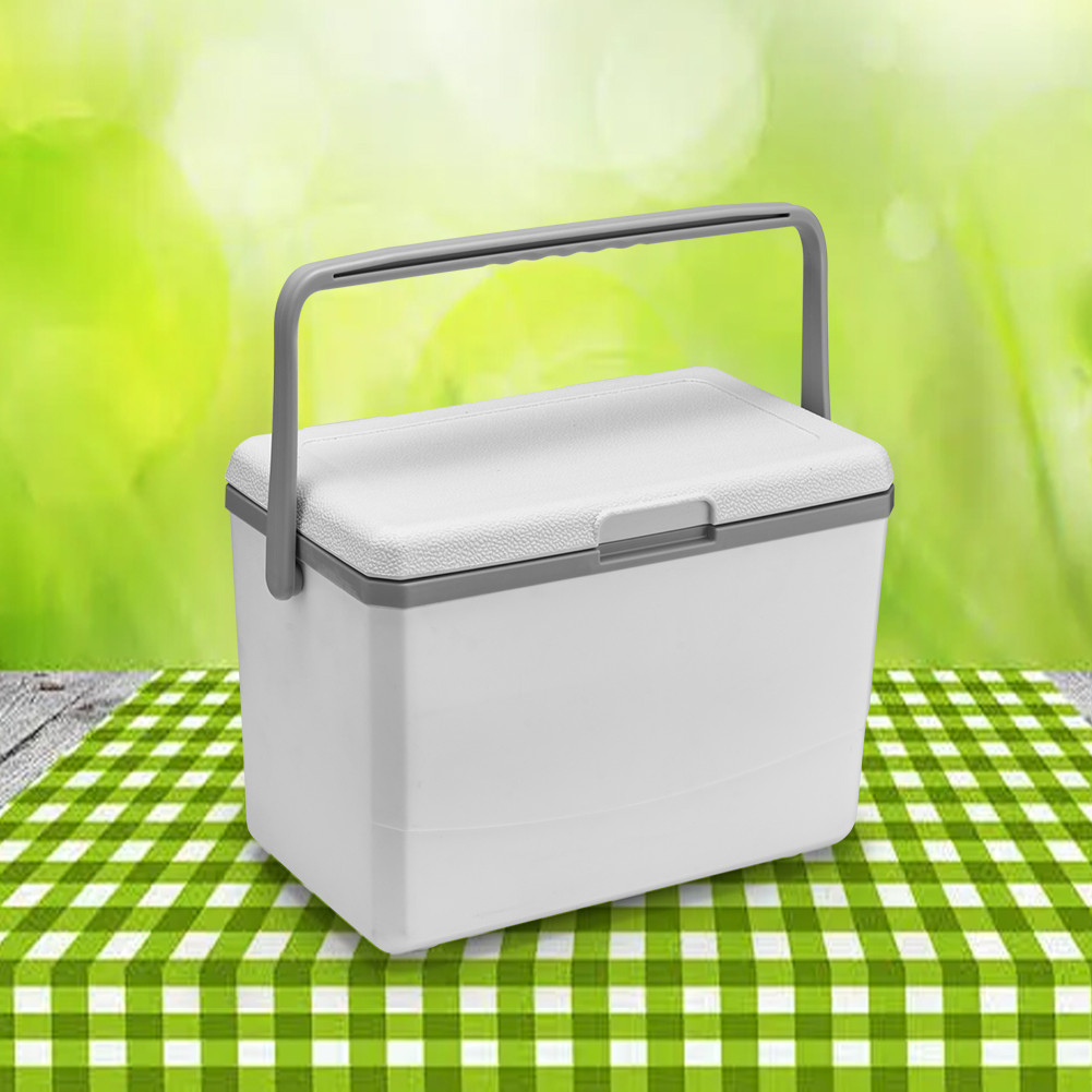 3L Insulated Portable Cooler with Handle Mini Freezer Fridge for Beach ...