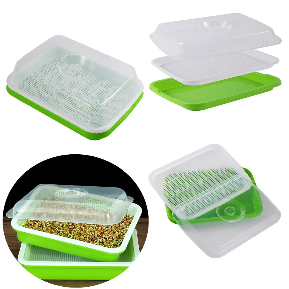Sprouting Tray with Cover Pea Bean Wheat Seedling Germination Plate Cat ...