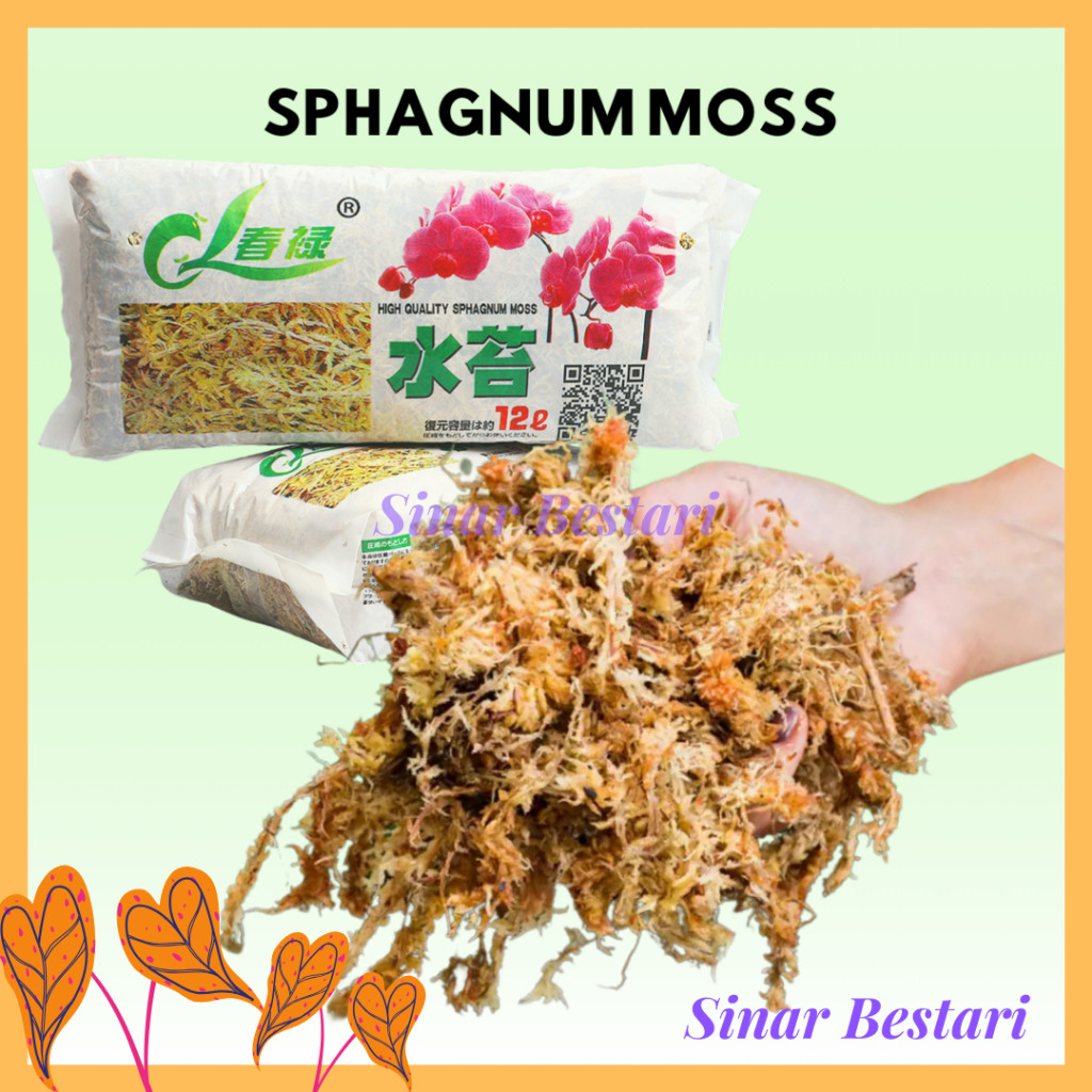 SPHAGNUM MOSS 12L HIGH QUALITY ORCHID GARDEN PLANT GARDENING PLANTING ...