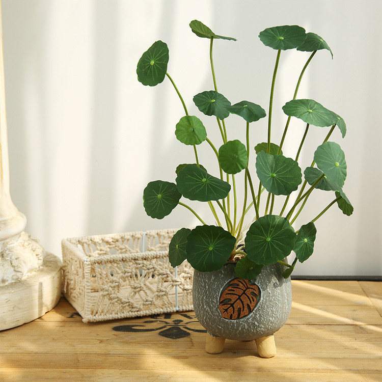 Artificial Lotus Leaf Small Plant, Fake Marsh Pennywort Plant ...