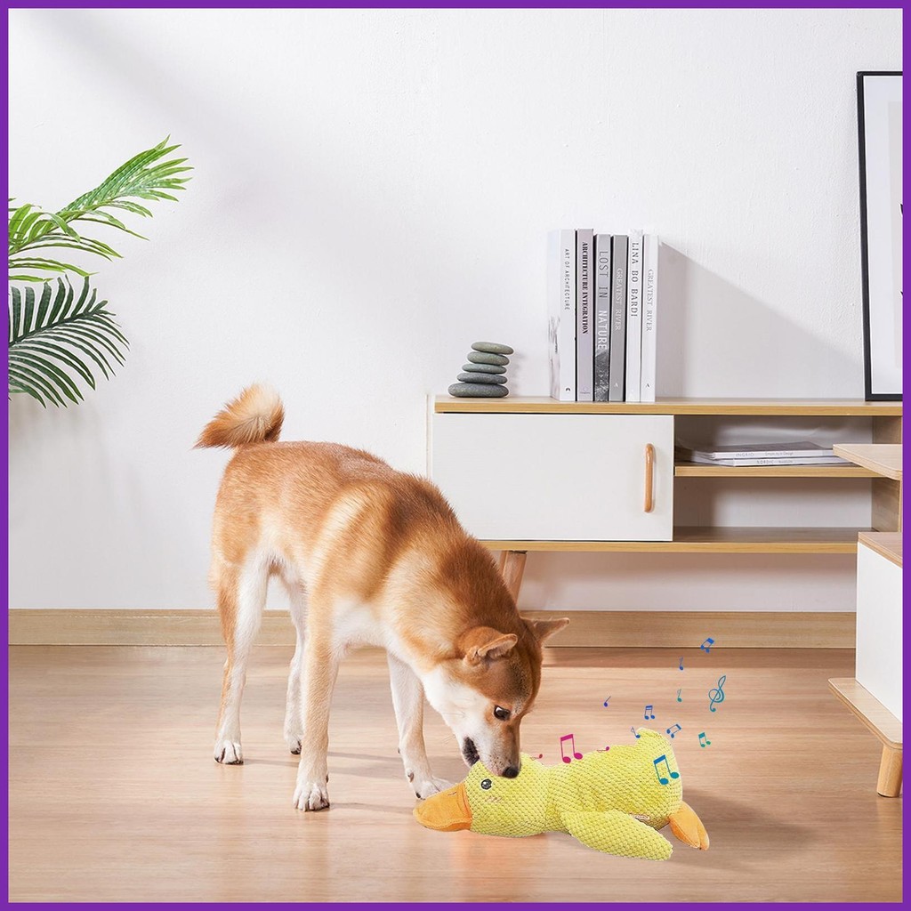 Puppy Chew Toys For Teething Cute Plush Dog Toy Duck Dog Toy ...