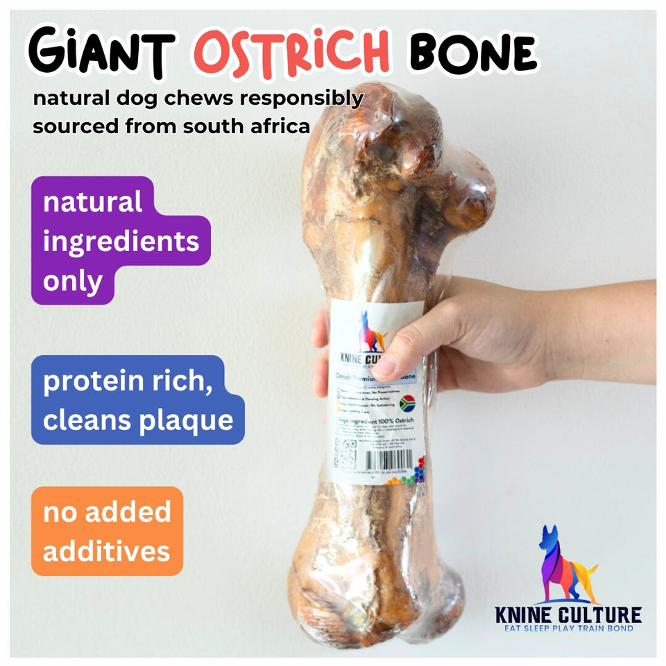 Premium Ostrich Bone | Shopee Malaysia