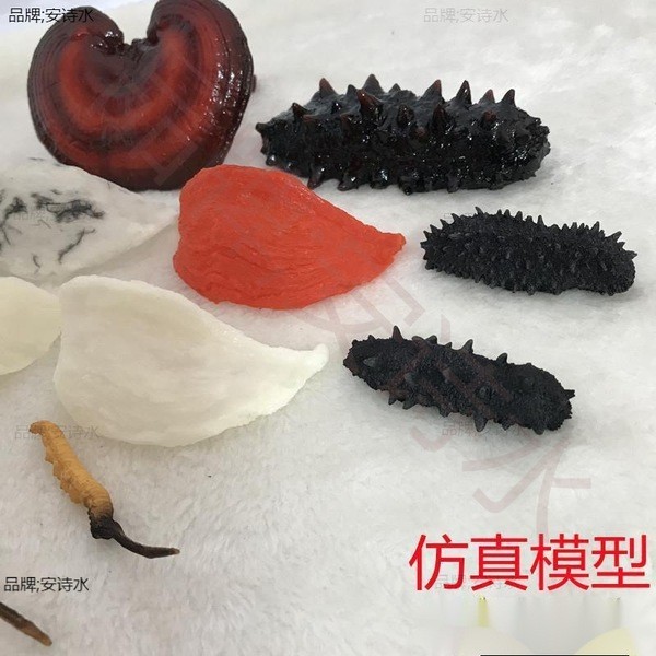 fake eggplant Model ginseng, alat peraga Ganoderma lucidum, gelatin ...