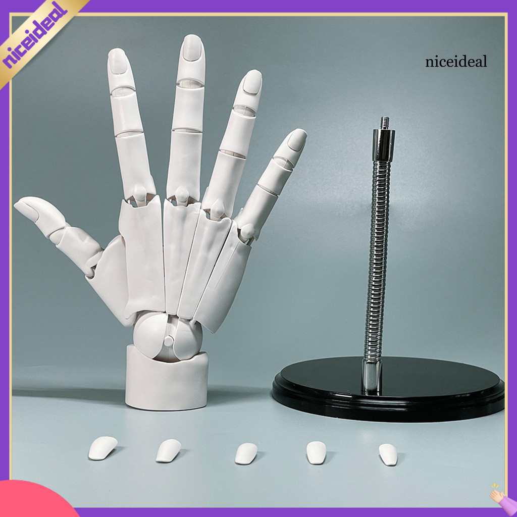 Bionic Finger Flexible Right Hand Model for Displaying Sketching And ...