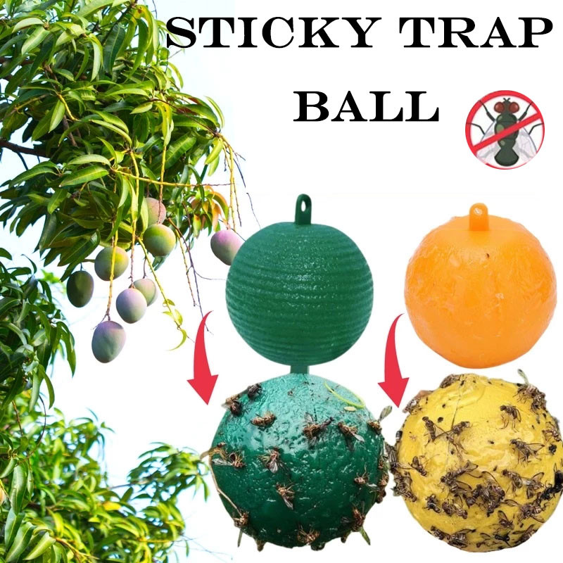 Sticky Trap Ball Hanging Fly Trap Sticky Fruit Fly Trap Insect Pest ...