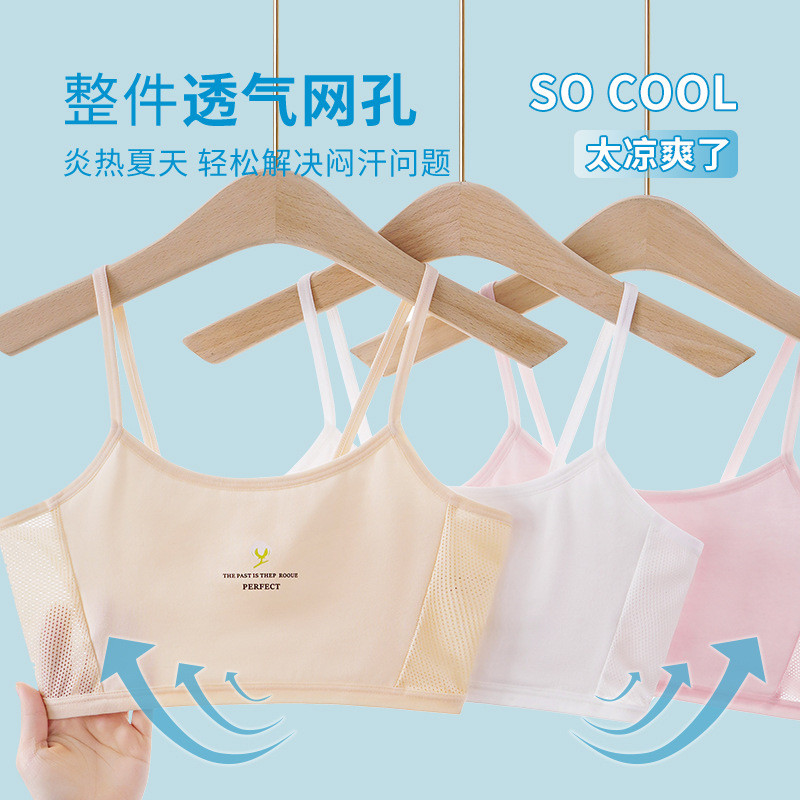 Girls Pure Cotton Girls Underwear Developmental Period Middle Big ...