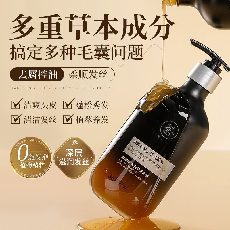 Polygonum Multiflorum Black Ganoderma Shampoo Anti-Dandruff Oil Control ...