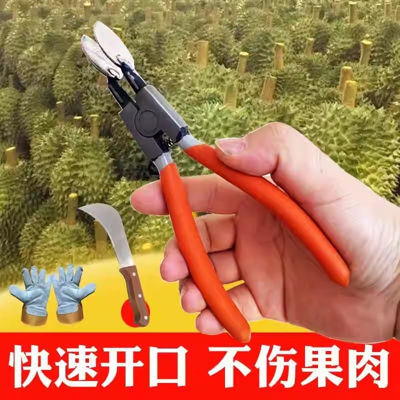 Open Durian Handy Tool Durian Opener Breaking Durian Clip Pliers ...