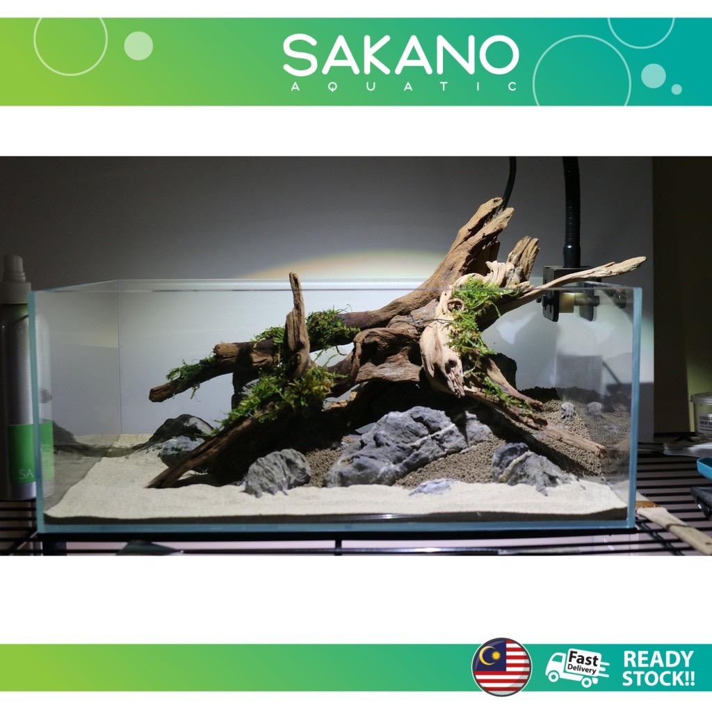Driftwood (L 27-46cm) Random Shape for Terrarium , Fish Tank Aquarium ...