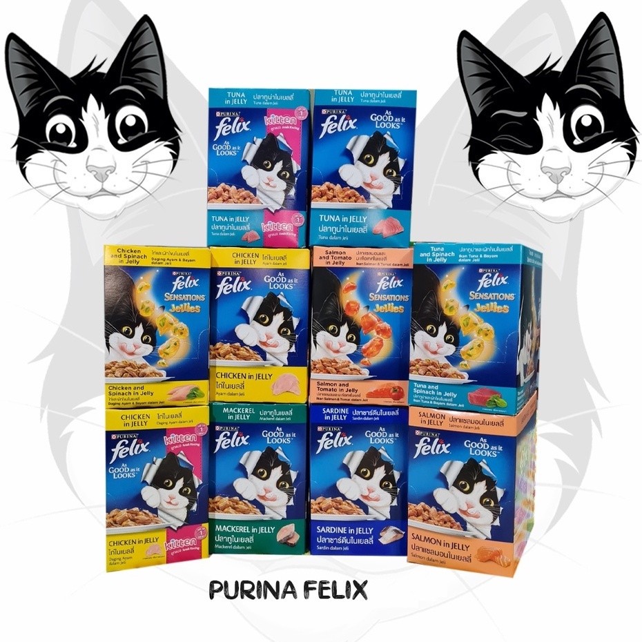 May 31, 2025)1 pack of Pate FELIX Cat Wet Food pate Jelly Wet Food with ...