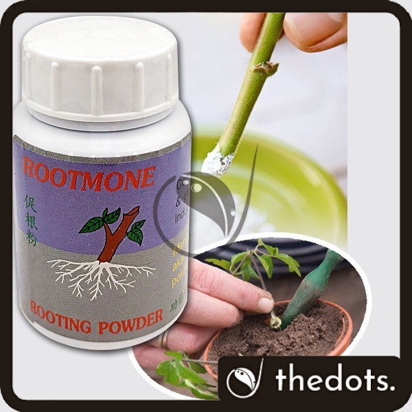 FERTILAND ROOTING POWDER ROOTMONE PLANTS PENGGALAK AKAR POKOK BUNGA 50g ...