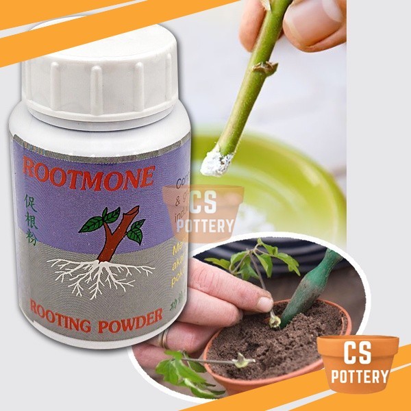 FERTILAND ROOTING POWDER ROOTMONE PLANTS PENGGALAK AKAR POKOK BUNGA 50g ...