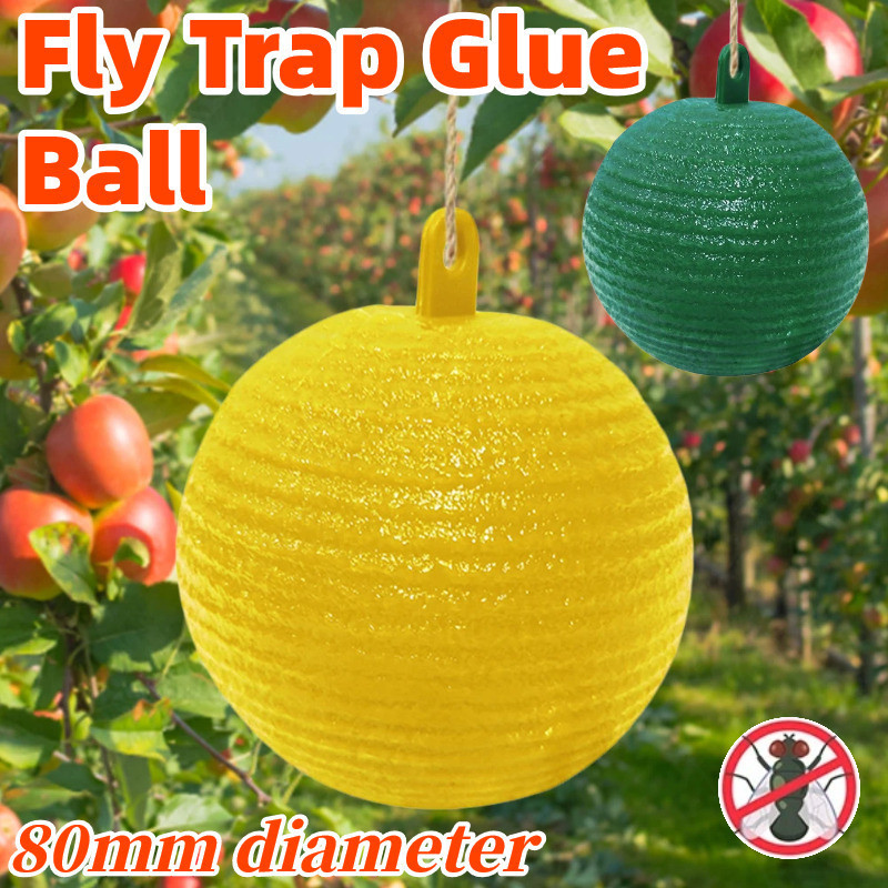 Yellow Sticky Trap Flies Trap Insect Stick Strong Sticky Flie Fruit Fly ...