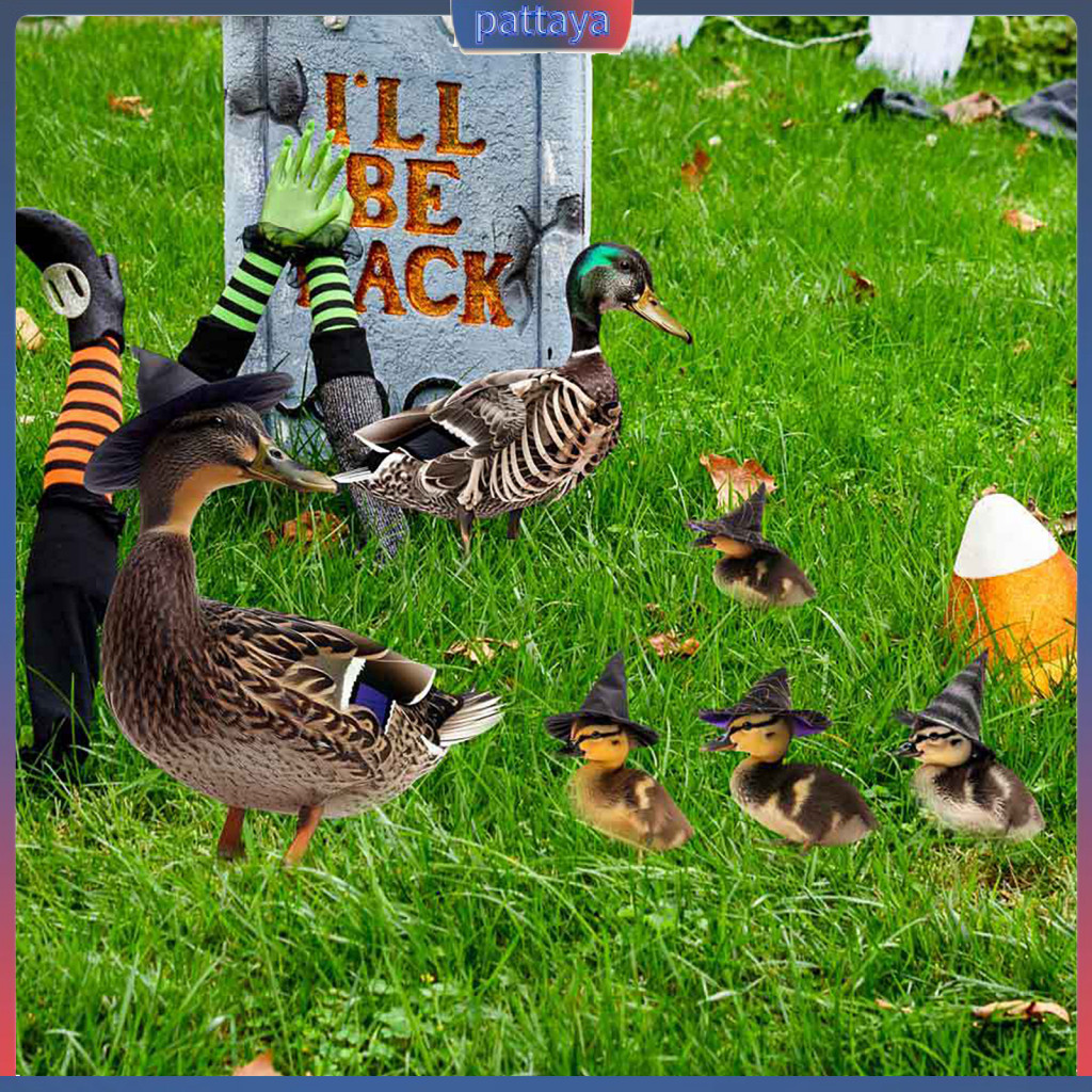 {pattaya} Outdoor Halloween Decor Weather-resistant Yard Stake Spooky ...