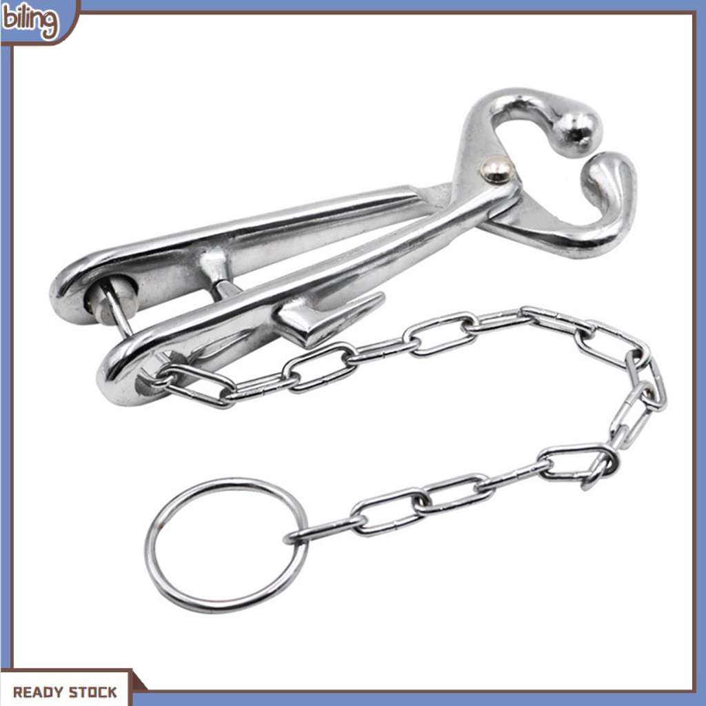 {biling} Cow Nose Pliers with Chain Livestock Breeding Equipment Cattle ...
