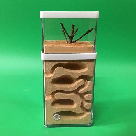 Earth Heart Ant Workshop Home Castle Ecological Student Ant Nest Manor ...