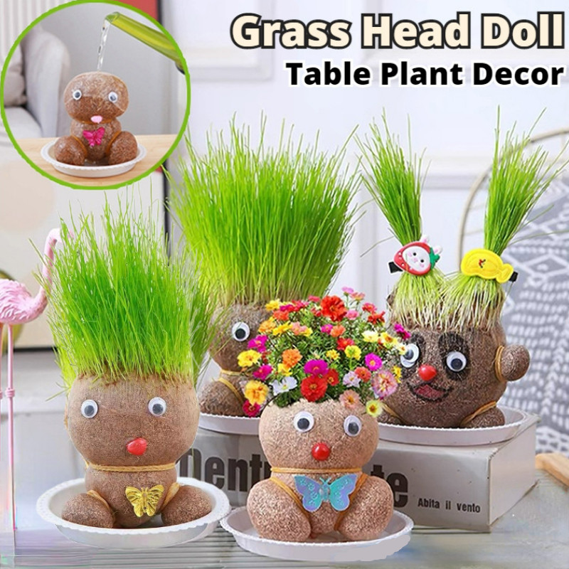 Grass Head Doll Toy Planting for Children Growing Flower Head Doll Kids ...