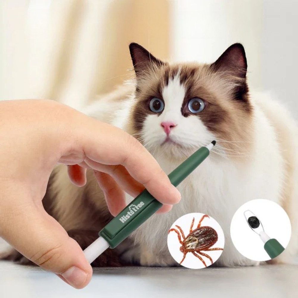 Pet Insect Catcher Cat Dog Portable Flea Lice Removal Tools Pets ...