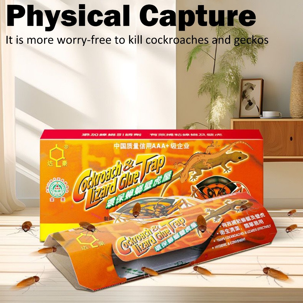 Lizard Cockroach Glue Trap House Cockroach Trap Killer Perangkap Lipas ...